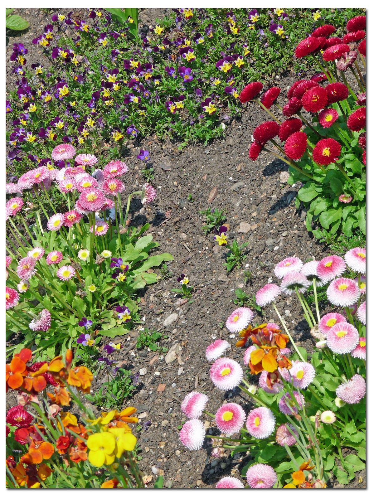 Wild and Wonderful: May 2012