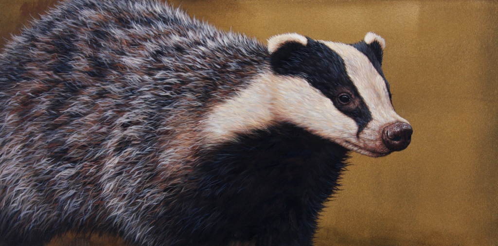 A Day In the Life of a Wildlife Artist: Art for Nature: National Badger ...