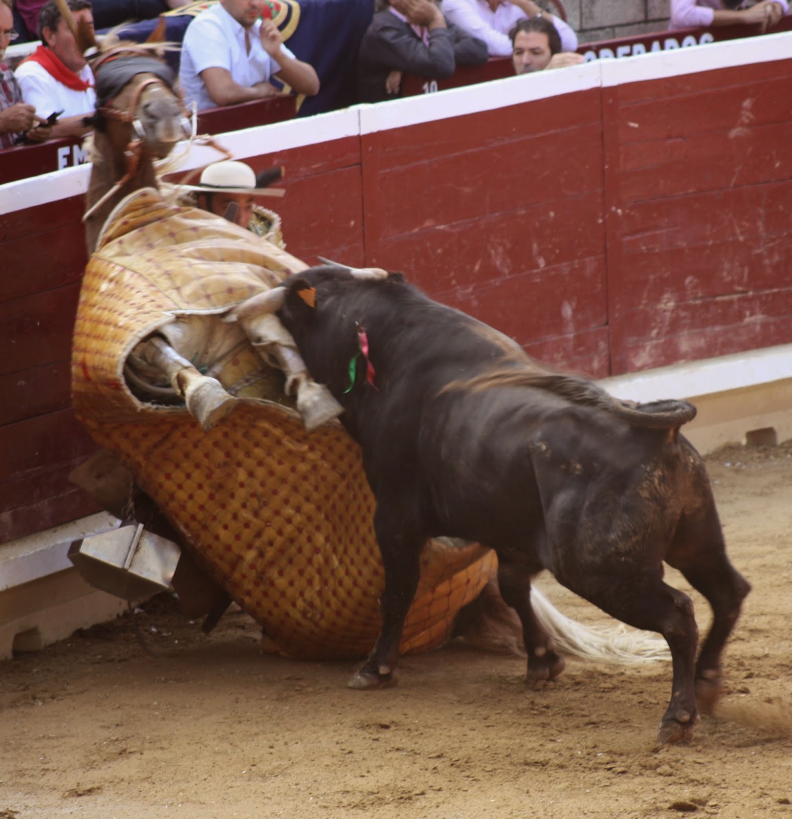 Toreo en Red Hondo: TAFALLA RECUPERARÁ LA SUERTE DE VARAS