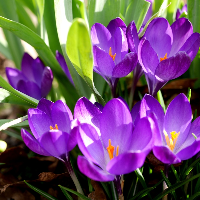 Fabric Paper Thread: On a Sunday in Spring