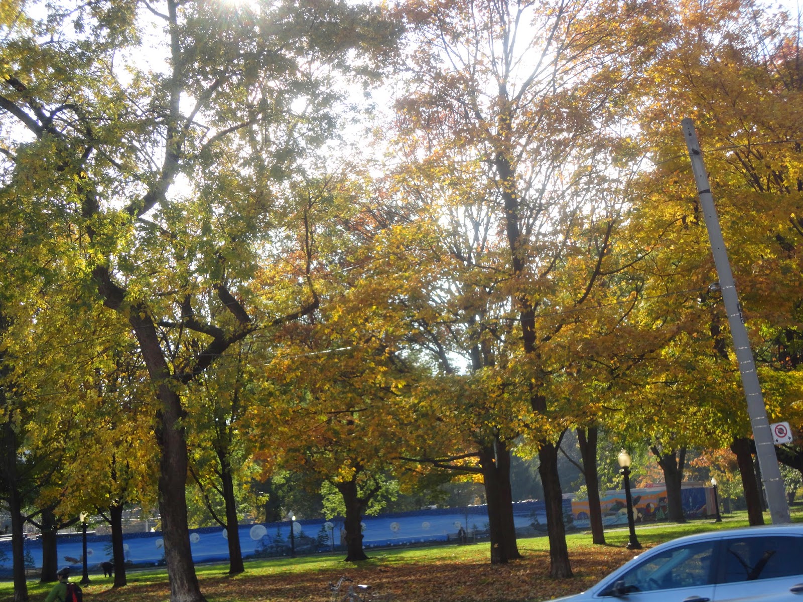 Annie's Dandy Blog: July 2014