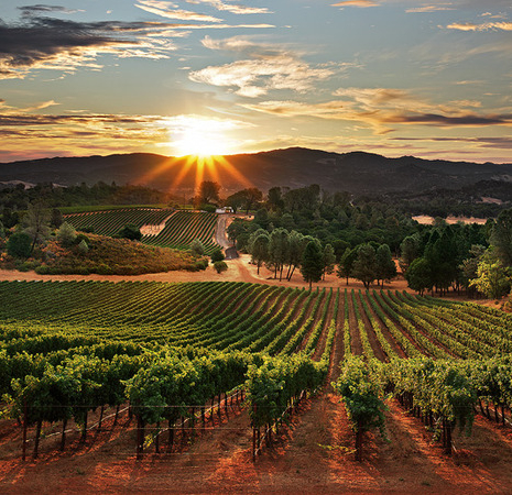 Public Safety Stores: America The Beautiful