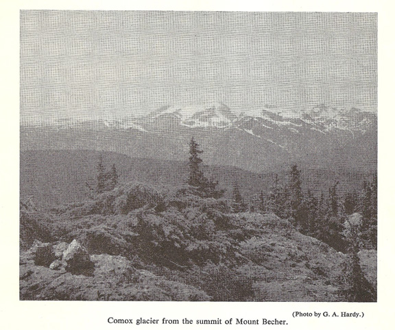 Strathcona Park: Natural History of Forbidden Plateau Area