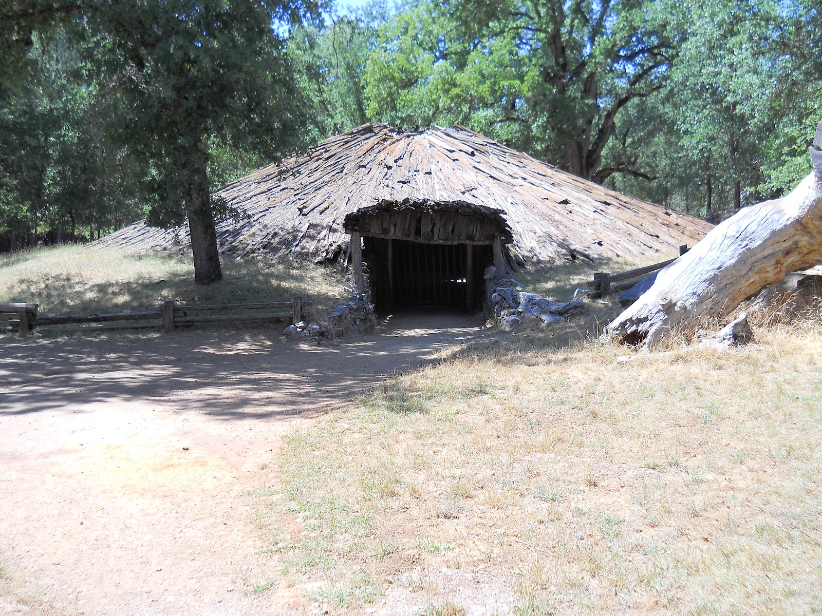 AUNTY CINDY EXPLAINS IT ALL!