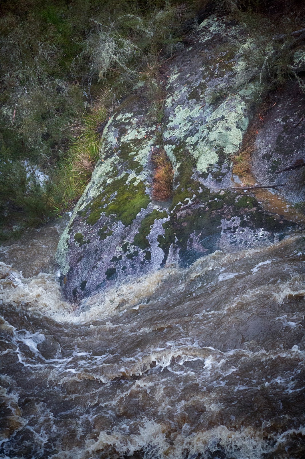 Genoa Basin Falls (East Gippsland)