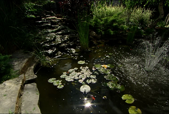 Laguna Ponds: April 2012