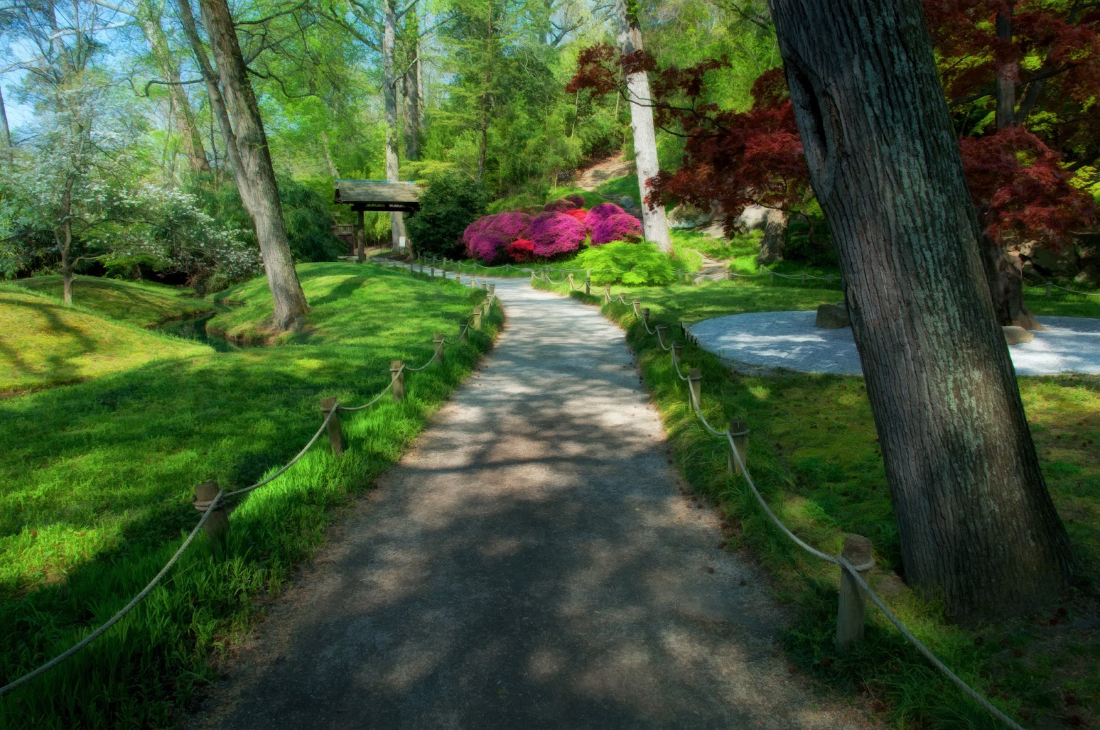 Japanese Zen Garden: Zen Bridge - Pond - Path