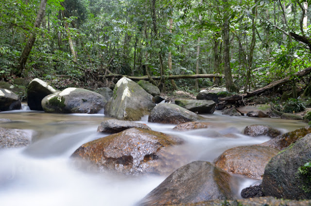 Koleksi gambar jeram di Jeram Gading, Kenaboi | Jas-du-it