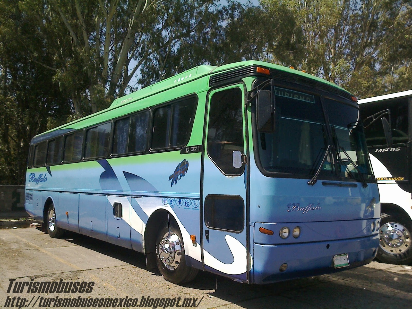 TURISMOBUSES MEXICO: Autotransportes Buffalo