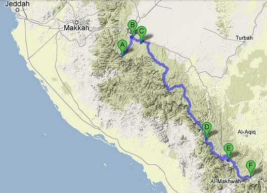 Birding for a Lark: SW Saudi Arabia trip report part 1 - SE of Taif