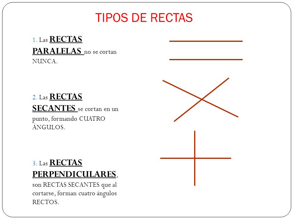 Rectas y ángulos.