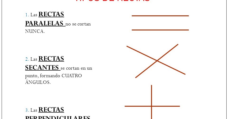 Rectas y ángulos.