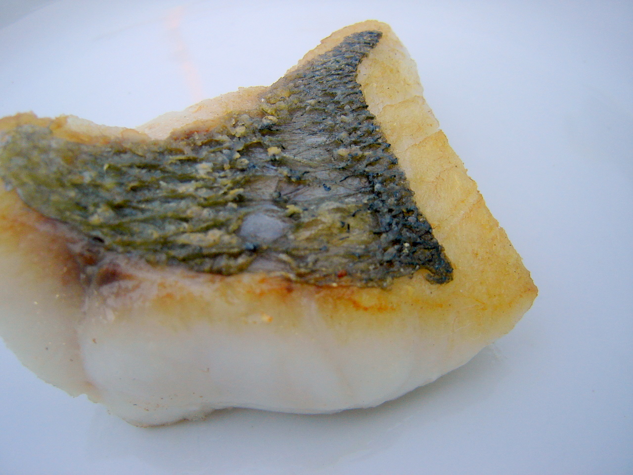 professor fish heads: ....finally, the Beardfish