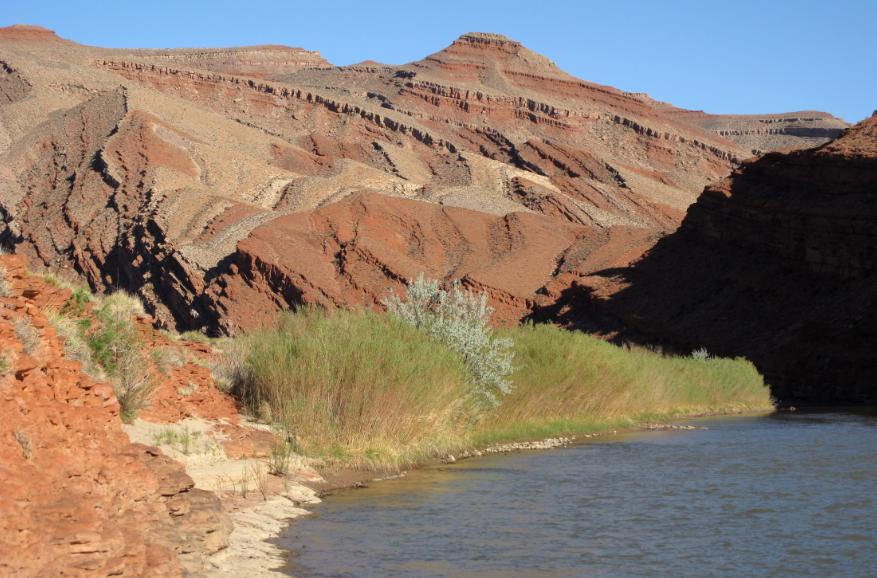 Red Rock Adventures: San Juan River -- Sand Island to Mexican Hat