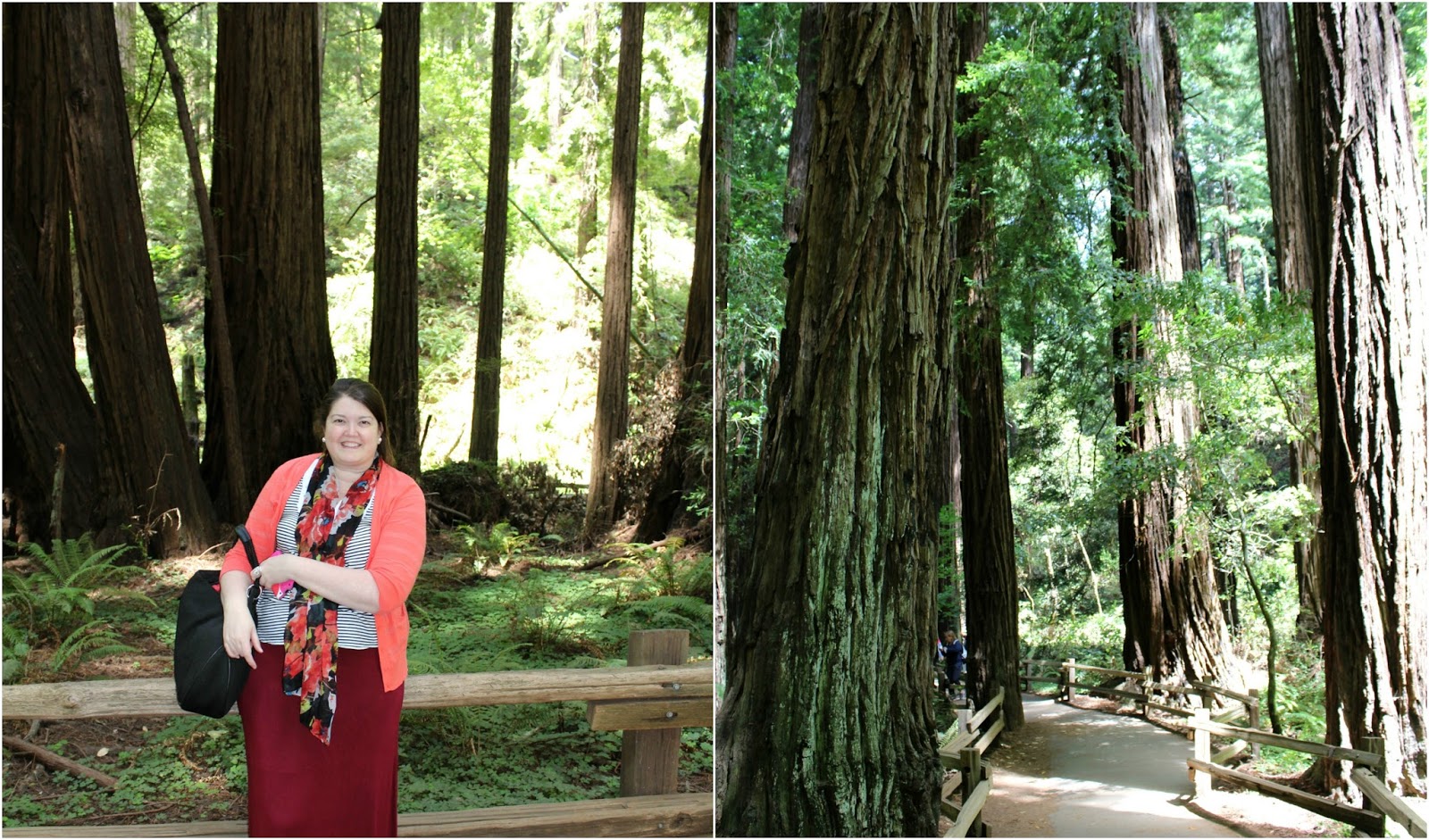 Muir Woods, California | Caravan Sonnet