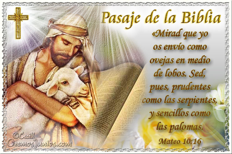 Vidas Santas: Santo Evangelio según san Mateo 10:16