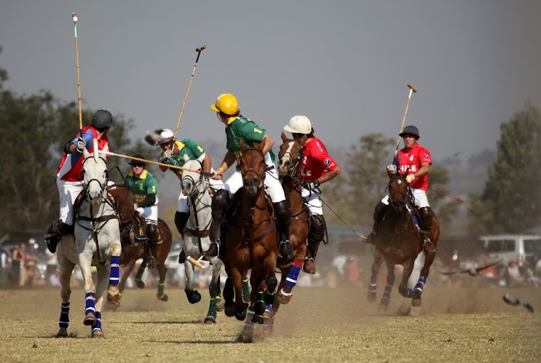 South African Polo News: May 2011