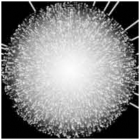 EFEK KEMBANG API : CARA MEMBUAT EFEK KEMBANG API DENGAN PHOTOSHOP ...