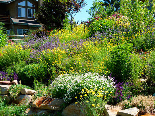 High Altitude Gardening: Ditch Gardens and Deck Decorations