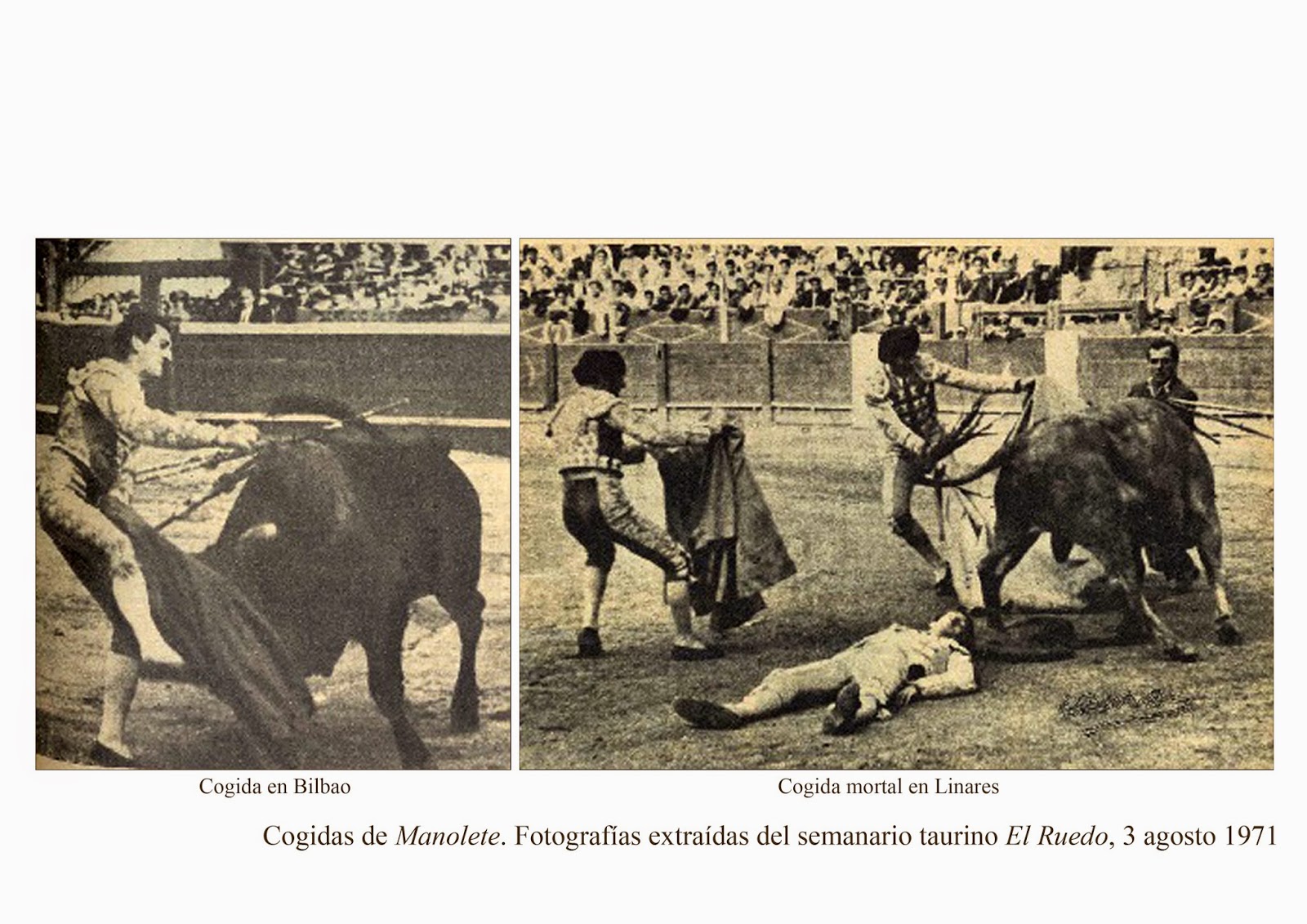 La Fiesta prohibida, por Manuel Hernández.: MANOLETE EN EL SEMANARIO ...