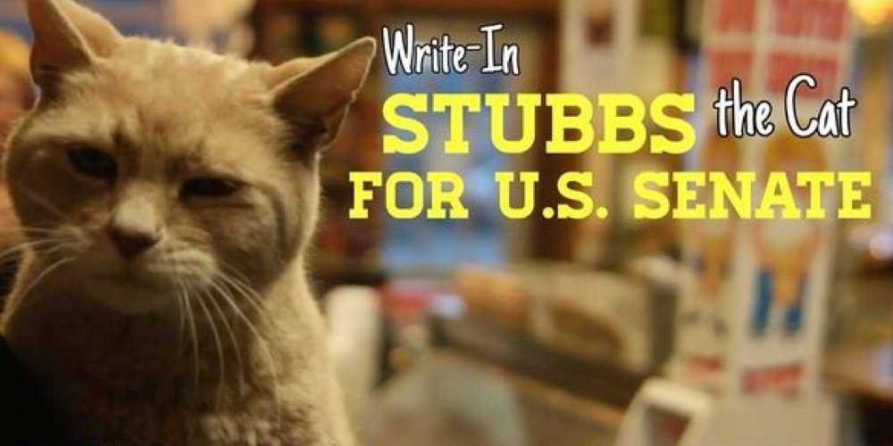NUNCAJAMAS COCKER: LA VERDADERA HISTORIA DE STUBBS; EL GATO ALCALDE DE ...