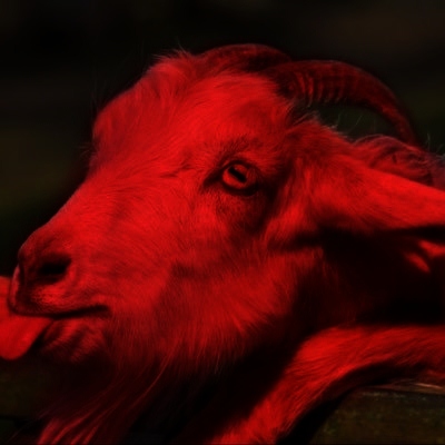 Mistérios Fantásticos: O Bode Vermelho