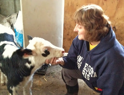 My Barnyard View : This And That Thursday - 5