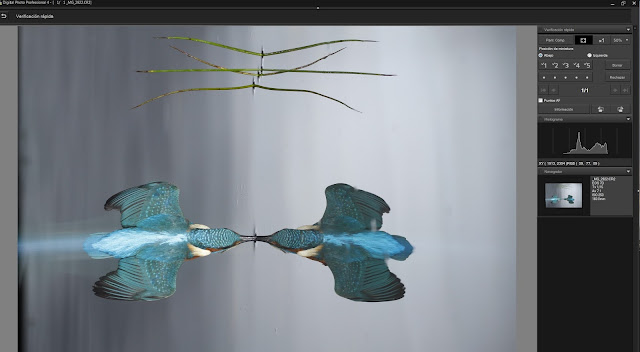 Mario Cea - Fotografía de Naturaleza