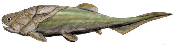 Criaturas del Pasado: El Período Devónico