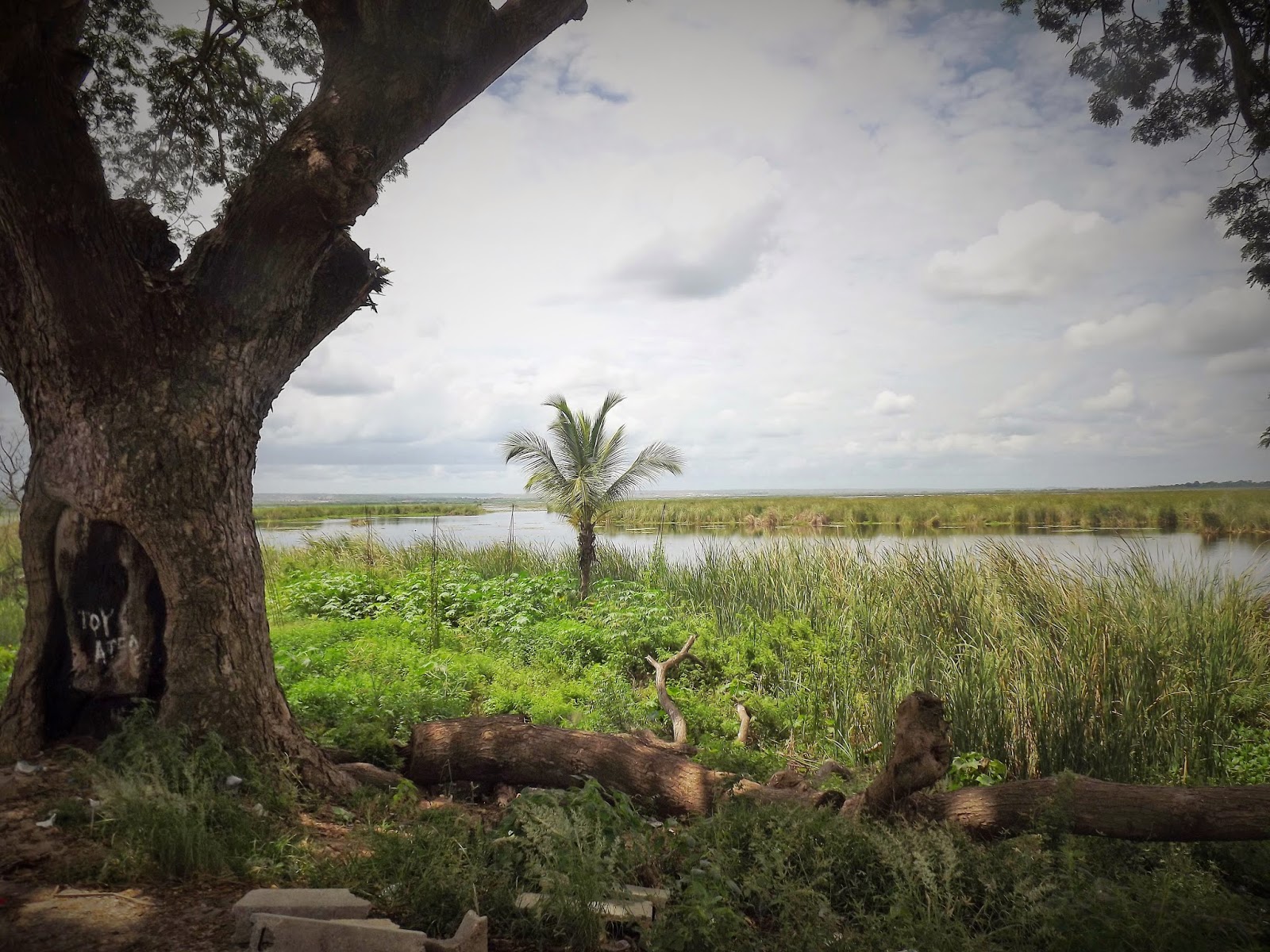 LIVRES PENSANTES: Da Província do Bengo em Angola I