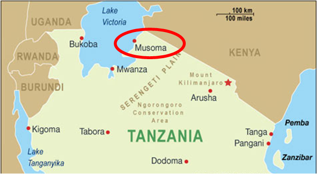 GO M.A.D. Tanzania April 2013: April 2013