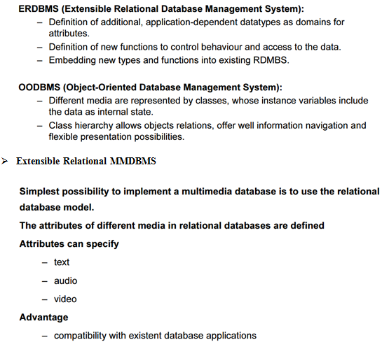 Rise: Multimedia Database Management System (MMDBMS)