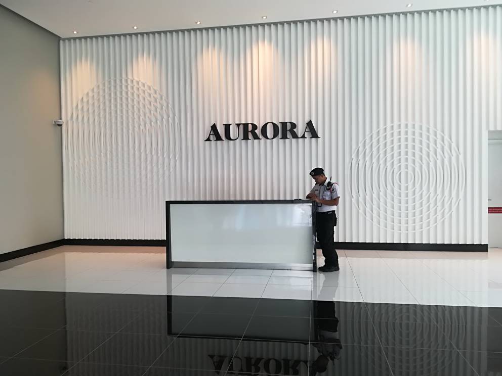 Gary Choo Properties