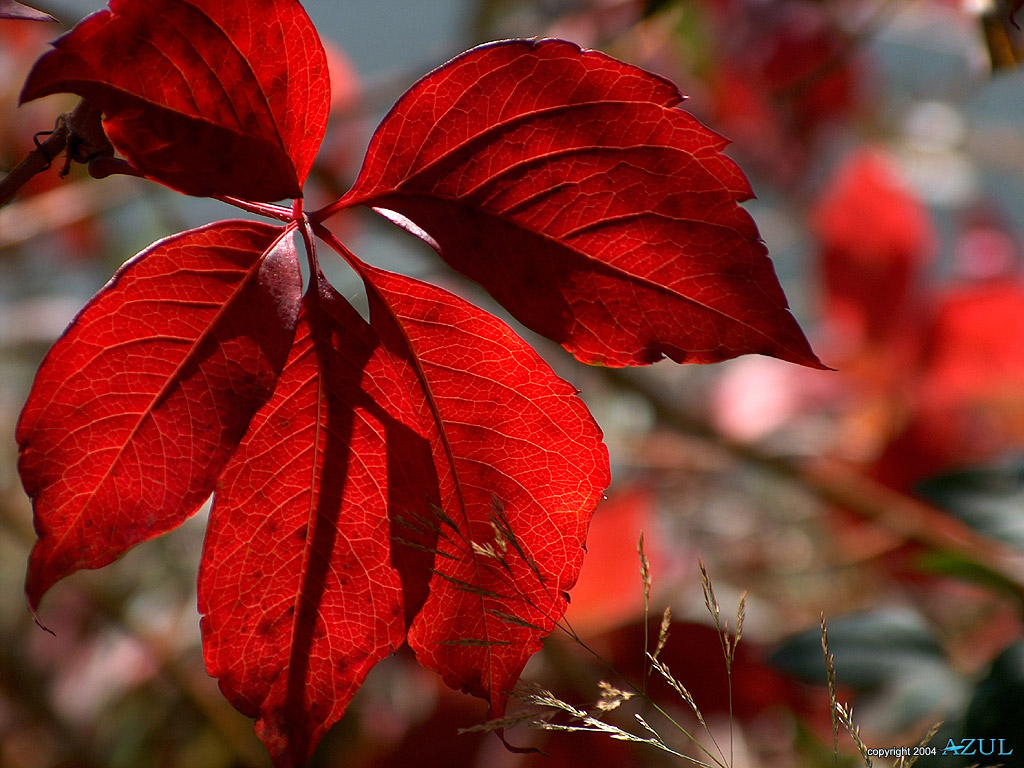 Viaţa are gust: Timpul si parerile de rau