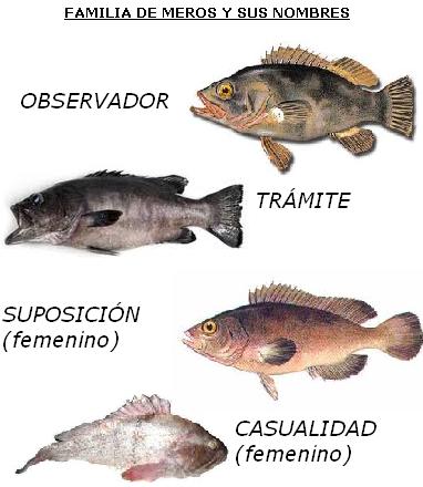HUMOR SERRANO : La familia de MEROS y sus nombres de pila