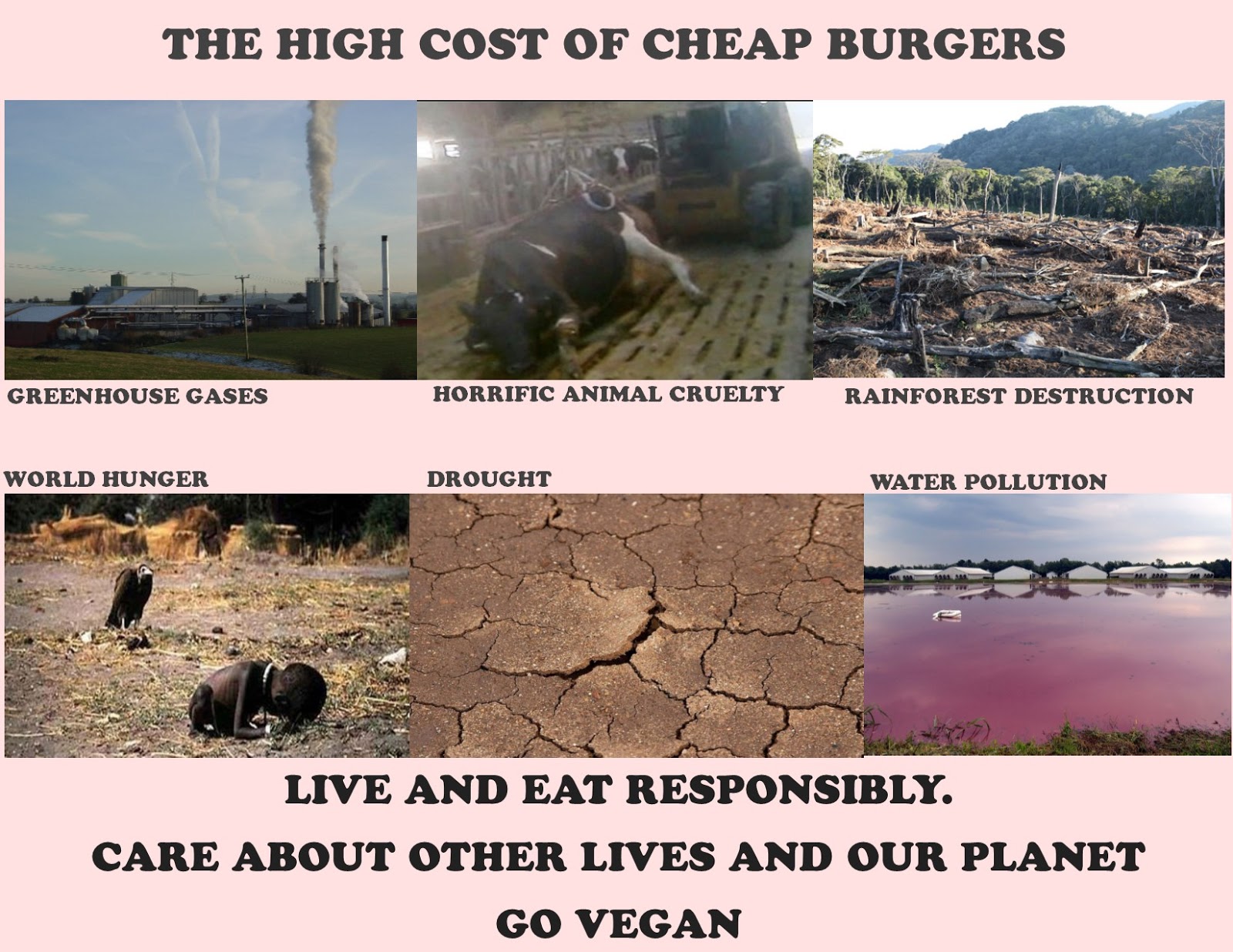 Joy of Vegan: world hunger memes to share