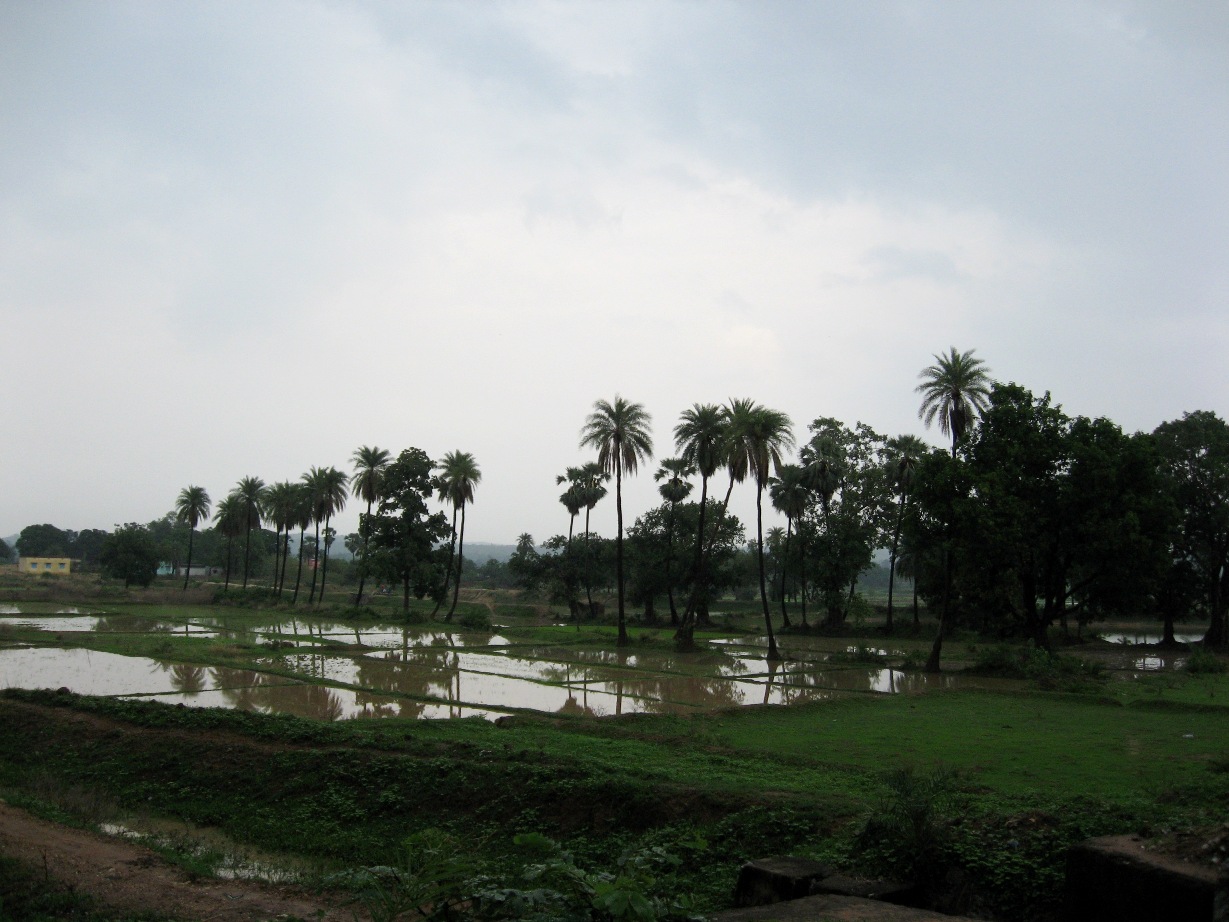 Cherishing India.....: Village scene after the rain........