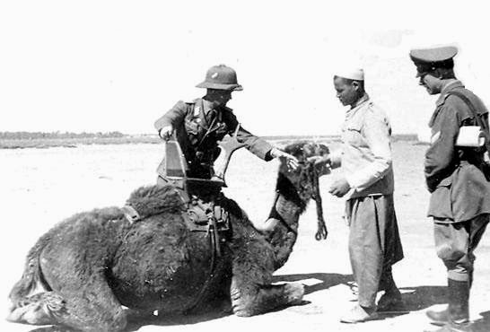 NAZI JERMAN: Foto Kamel (Unta) dan Tentara Jerman