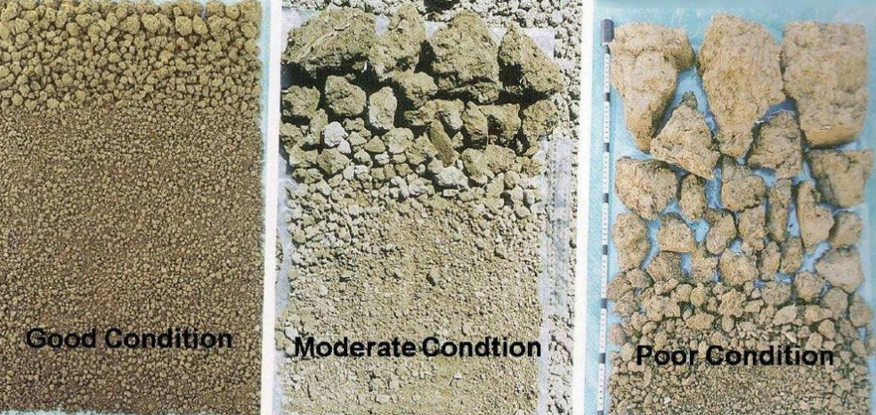 The PennWell Community Garden Blog: A Load of Manure — Your Guide to ...