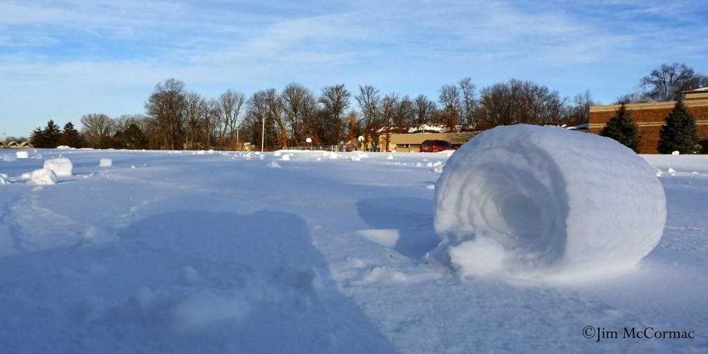 Ohio Birds and Biodiversity: Snow Rollers! Snow Rollers!