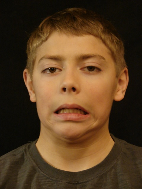 Cromofora La ( Paloma) Contemporary Online Art Gallery: DANIEL MAIDMAN