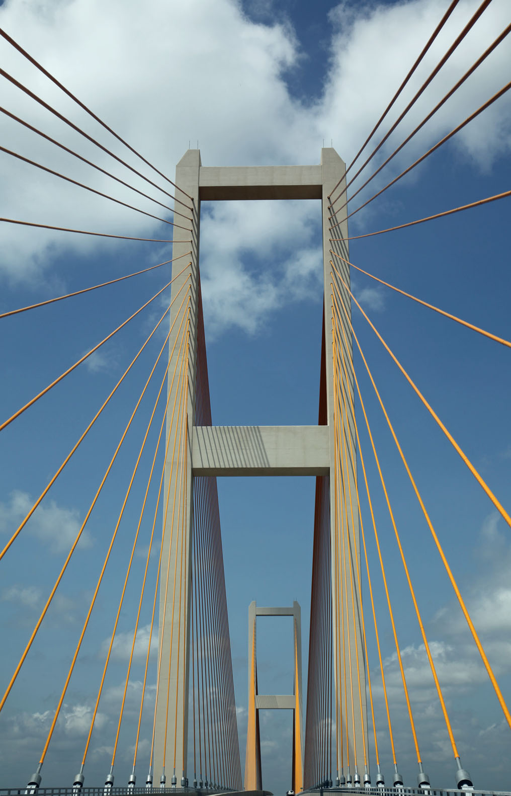 Southern Lagniappe: Audubon Bridge: A Work of Art