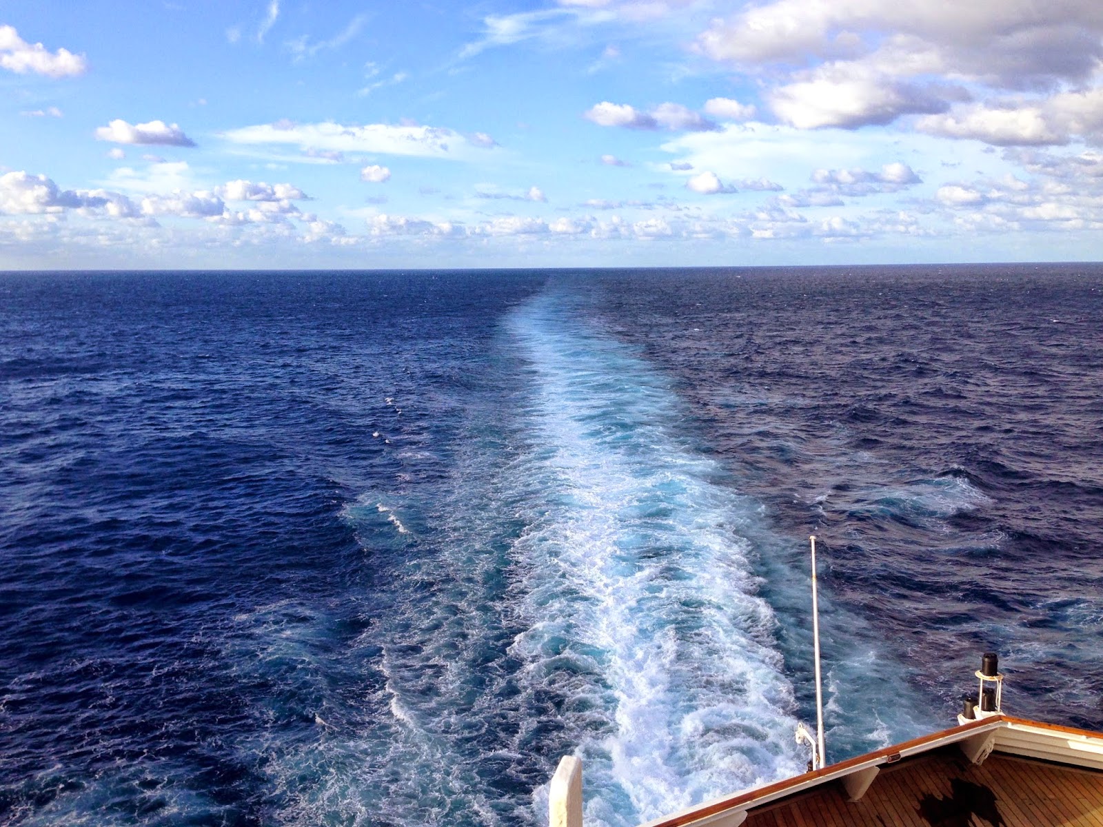 A Bob's Life: What to Do on a Day at Sea