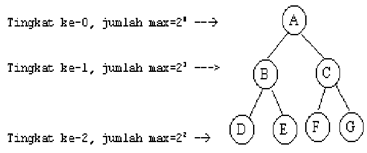 Pengertian dan Konsep Binary Tree - dindadinho