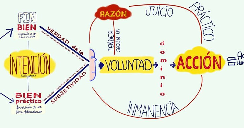 El acto humano. Definición y clasificación. El acto cognoscitivo ...