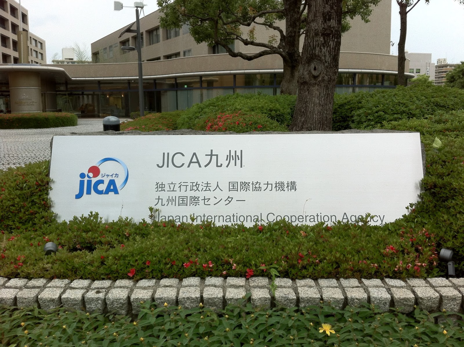 นายแพทย์ปานเทพ คณานุรักษ์: เรื่องที่ ๑๔ เมื่อผมได้ทุนดูงานจาก JICA ตอนที่ ๒