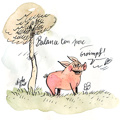 Nicolas PINET, l'Homme de l'Année.: Balance ton porc