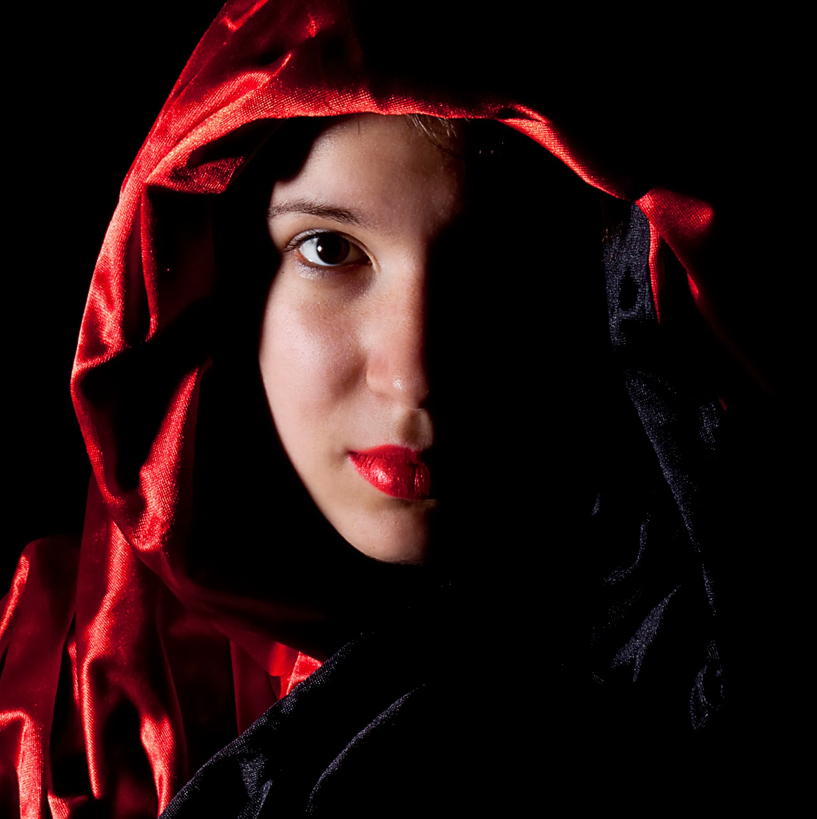 EL ANIMAL INVISIBLE: Representar reproducciones y reproducir ...