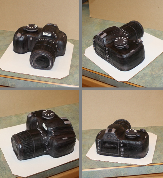Party Cakes: Nikon Camera Cake