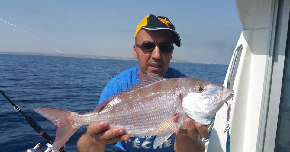 POISSONS DES CÔTES ALGÉRIENNES: LE PAGEOT : PHOTO : PÊCHEUR MOURAD